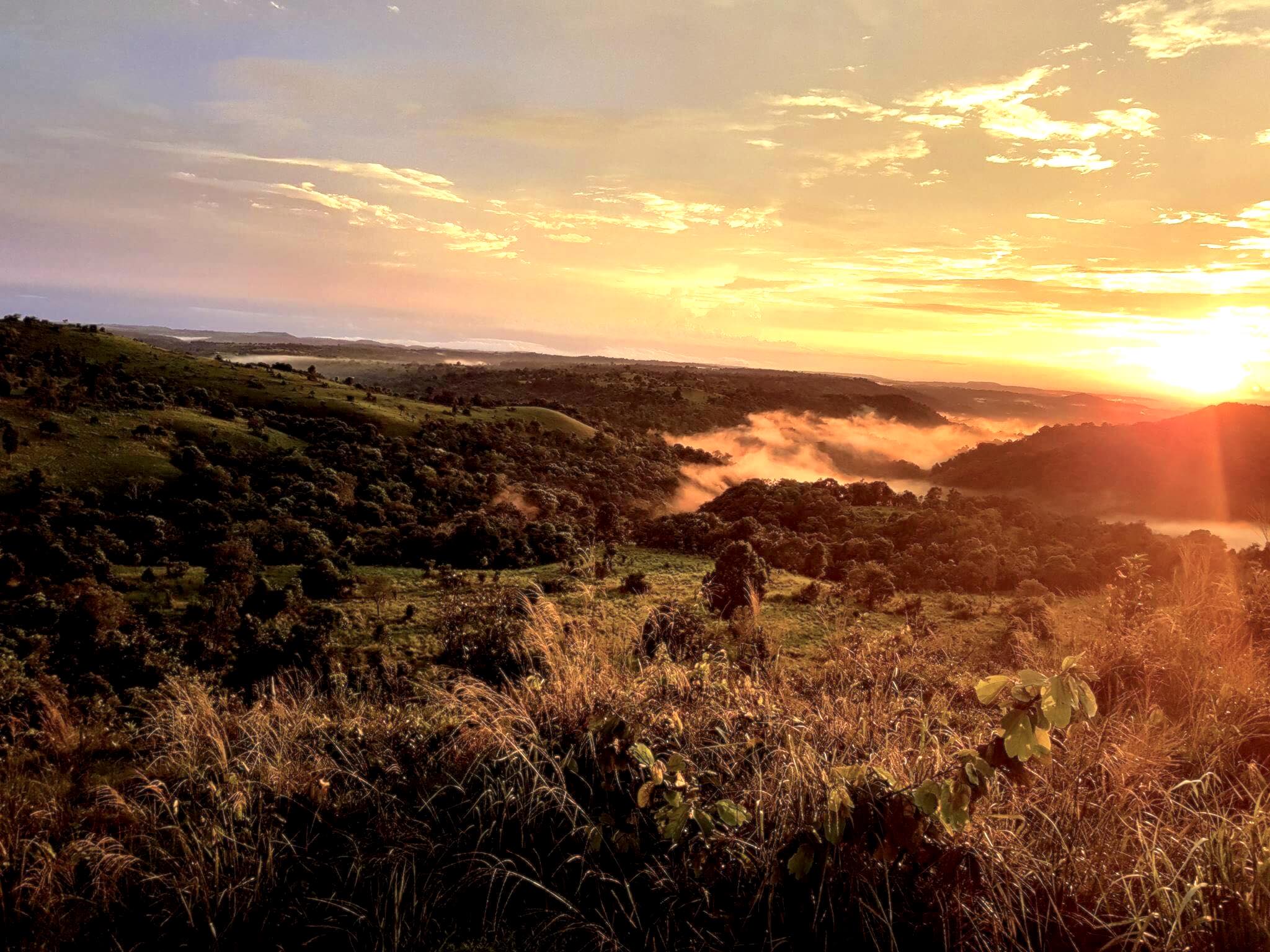 Meet The Hills Of Mondulkiri